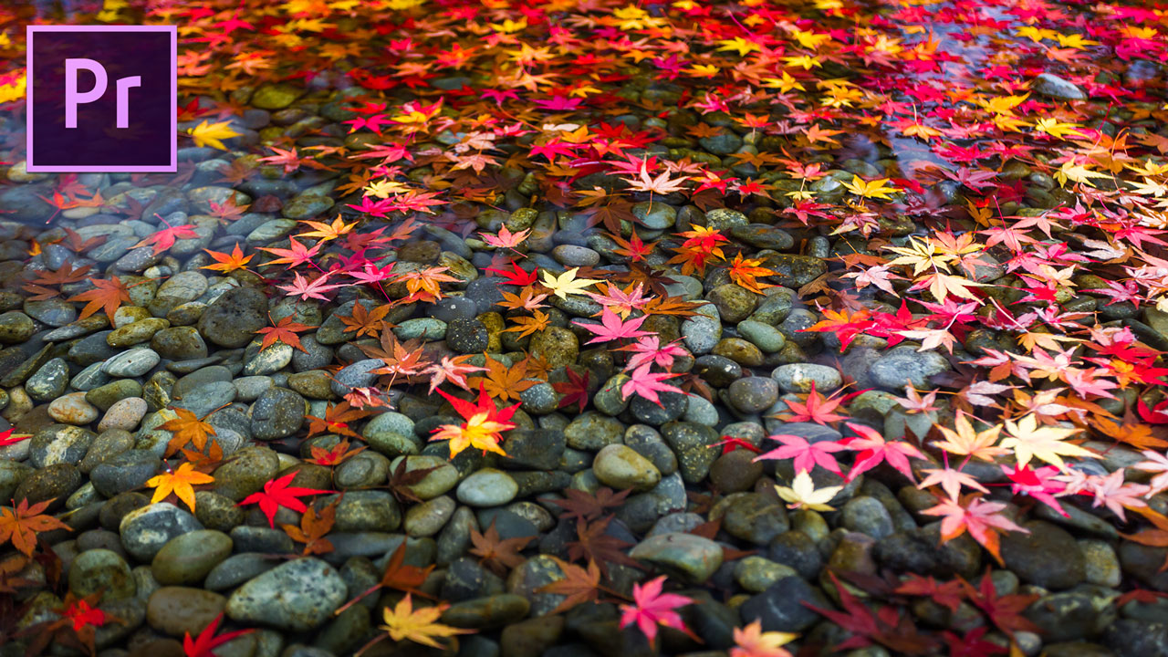 Color Correction In Premiere Pro CC 2015 Ripple Training